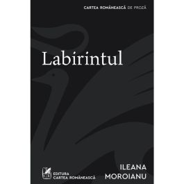 Labirintul